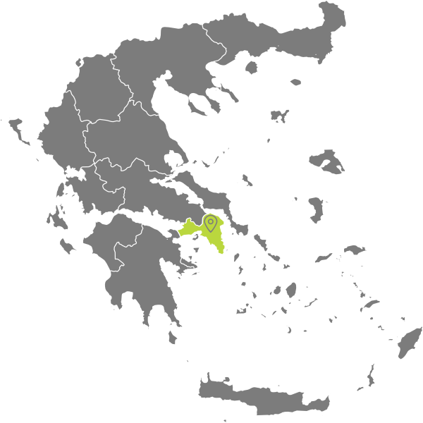 Athens – Greek Link